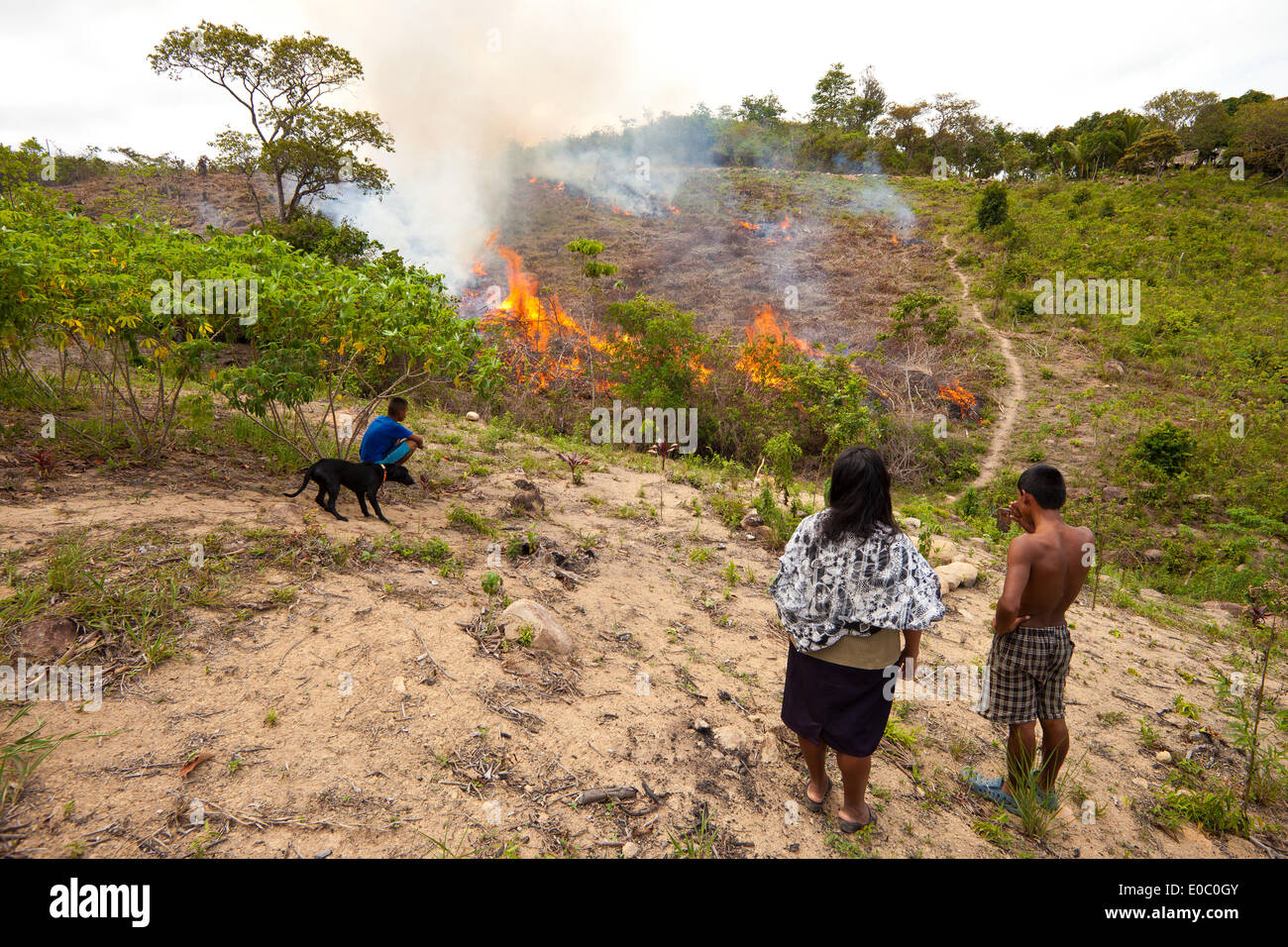 Rain forest burn deforestation High Resolution Stock Photography and ...