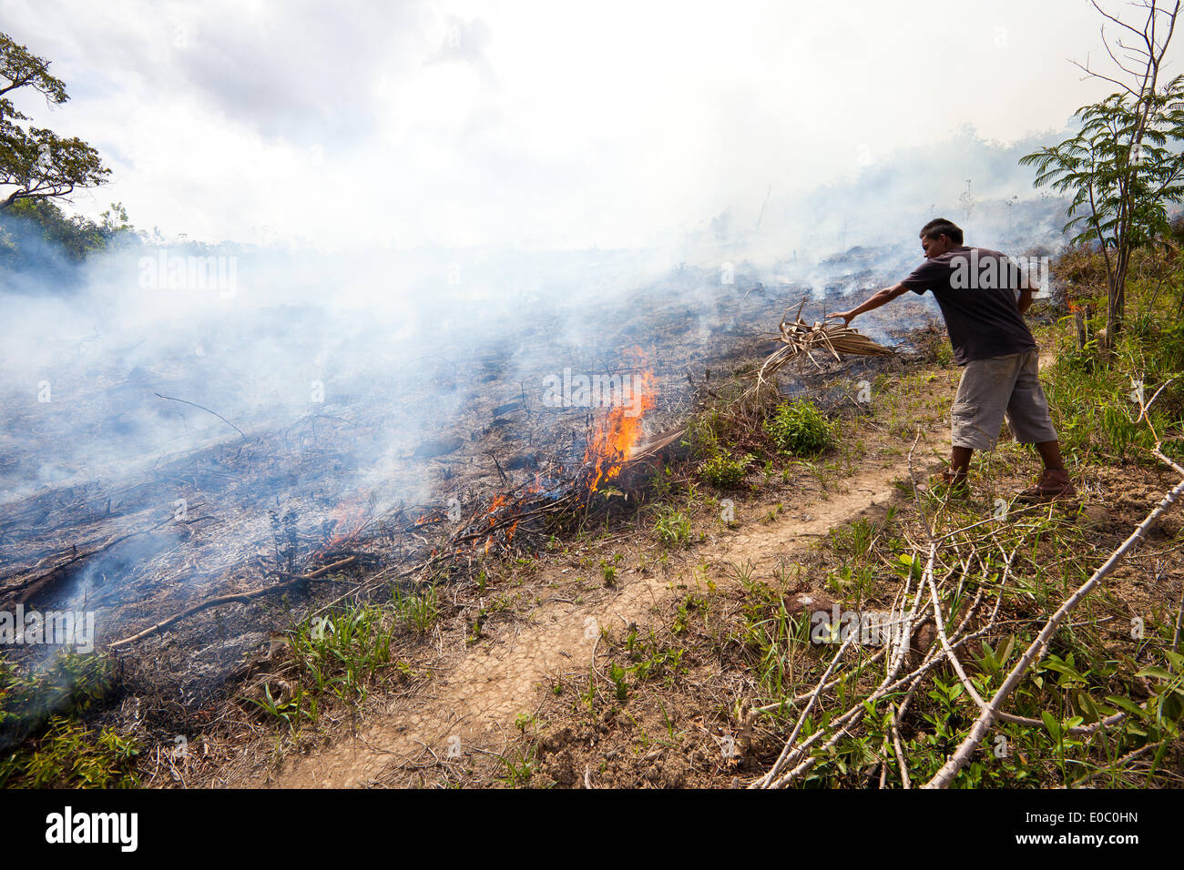 Slash portrait hi-res stock photography and images - Alamy