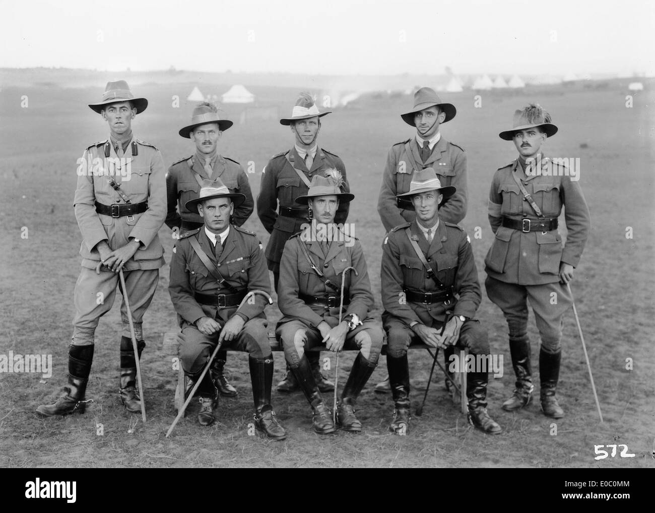 Australian light horse hi-res stock photography and images - Alamy