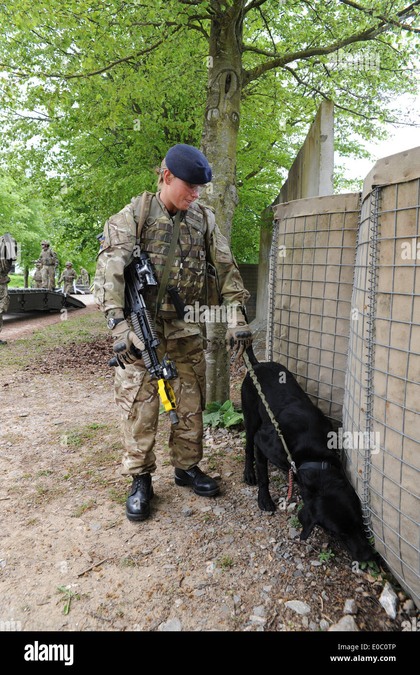Military Working Dog dog counter insurgency ied improvised explosive ...