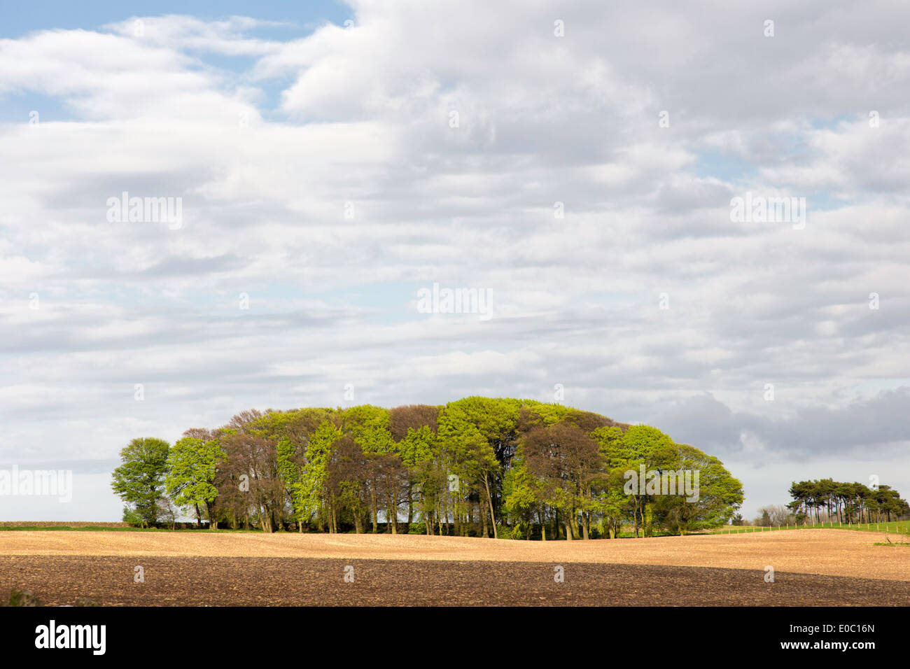 Bredon hill, worcestershire hi-res stock photography and images - Alamy