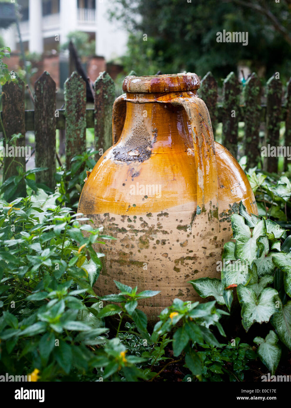An empty jug in a plantation garden Stock Photo - Alamy