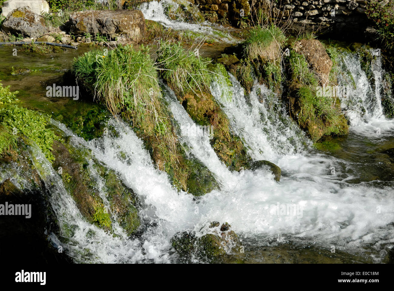 a small drop of water Stock Photo - Alamy