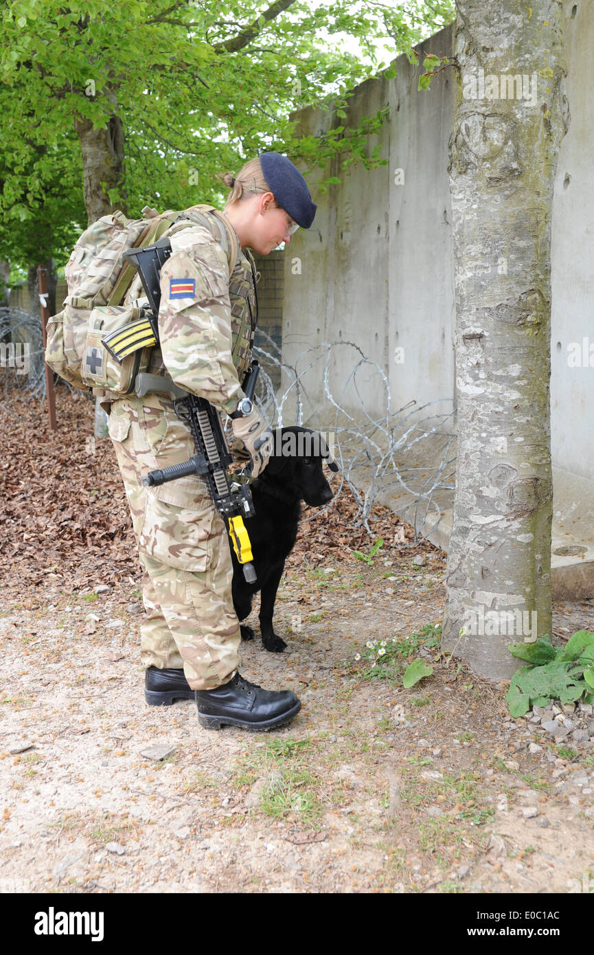 t Military Working Dog dog counter insurgency ied improvised explosive ...