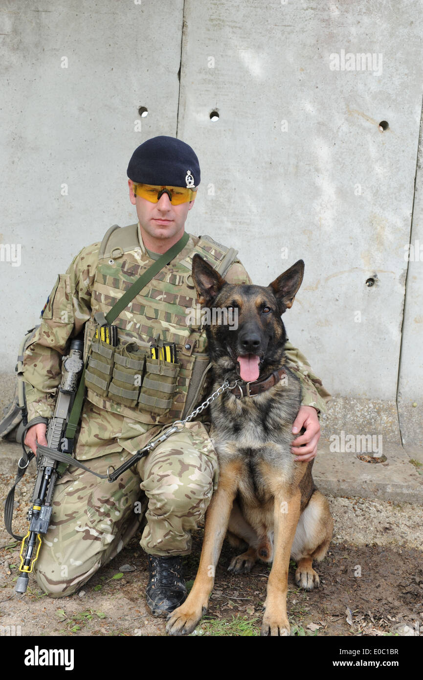 t Military Working Dog dog counter insurgency ied improvised explosive ...
