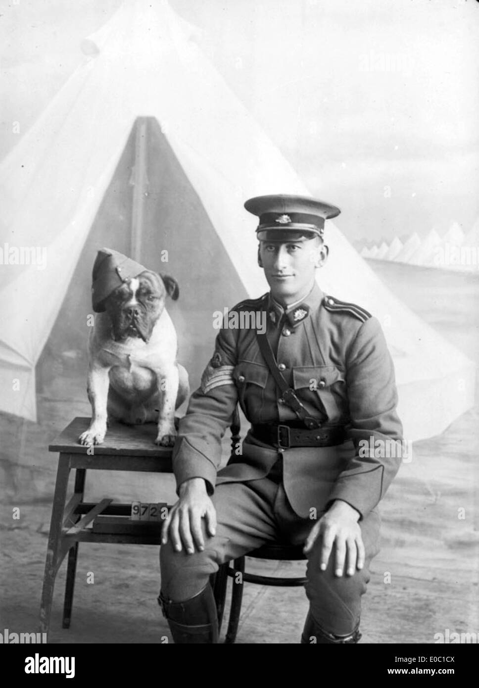 First sergeant in war hi-res stock photography and images - Alamy