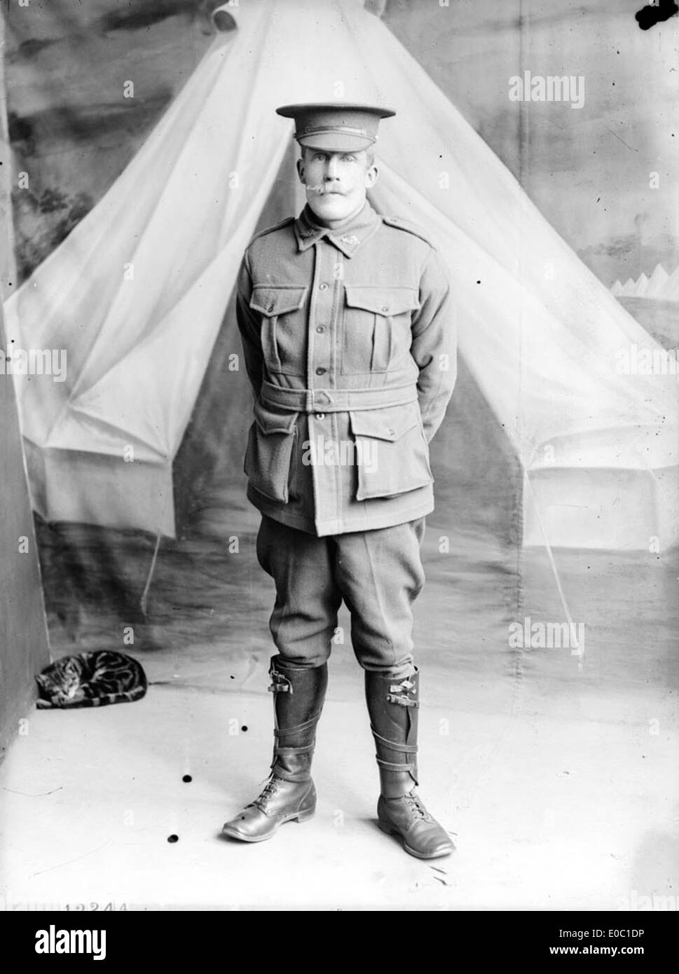 Animal war soldier ww1 hi-res stock photography and images - Alamy