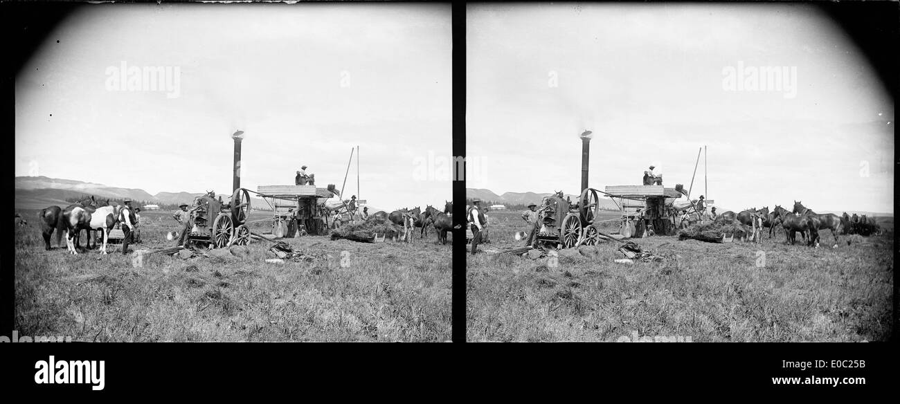 Manual labor late 1800s hi-res stock photography and images - Alamy