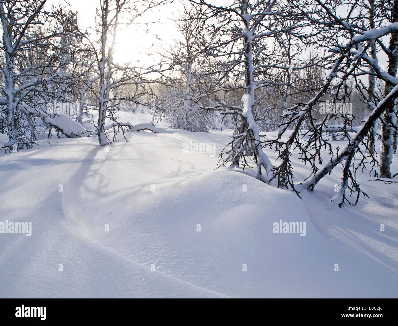Deep, fresh snow in the Norwegian mountains Stock Photo - Alamy