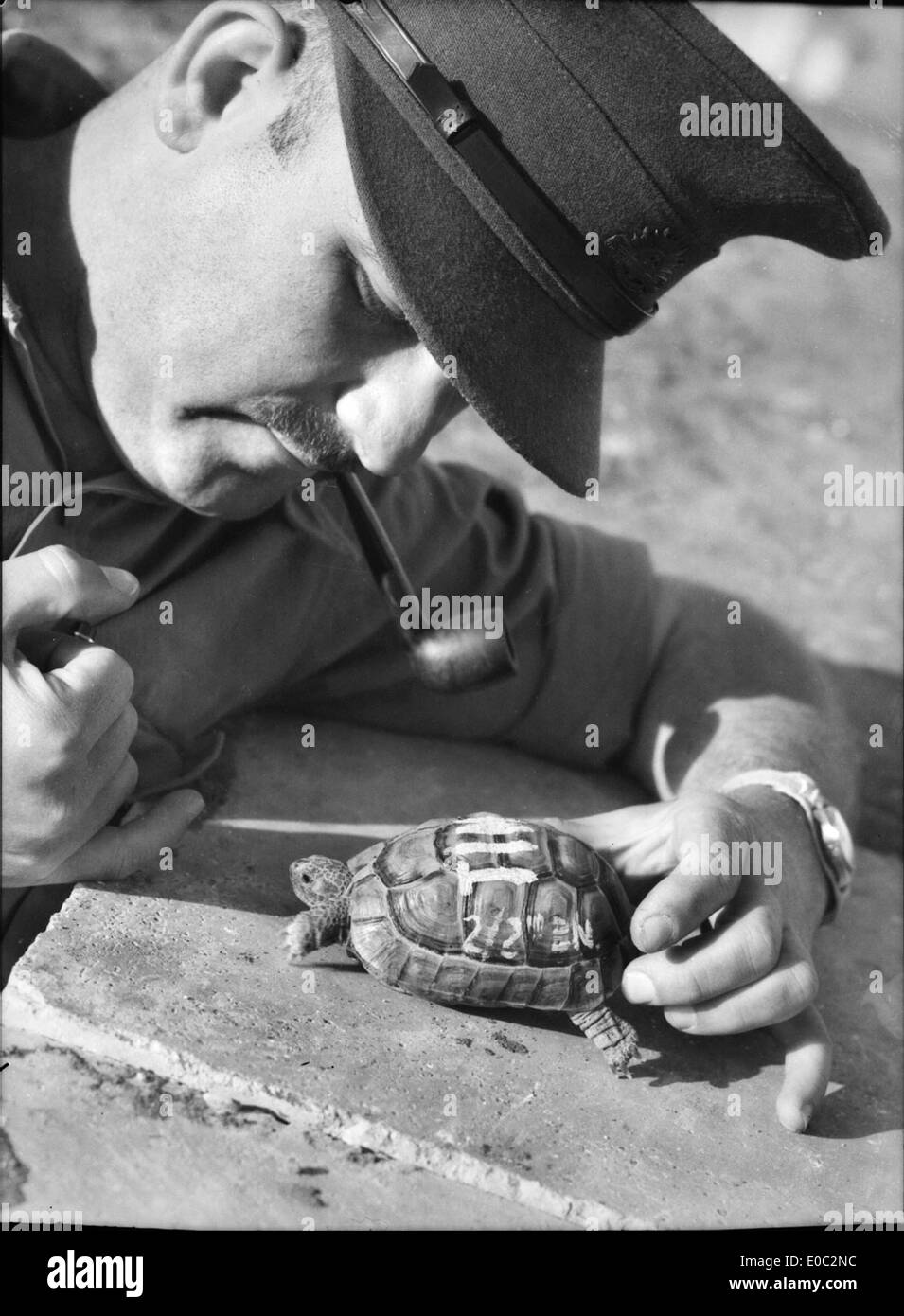 Captain michelson tim turtle hi-res stock photography and images - Alamy