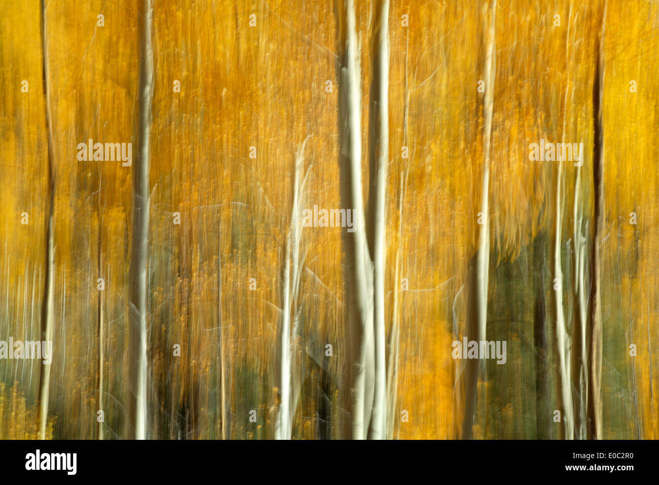 Santa fe national forest fall colors hi-res stock photography and ...