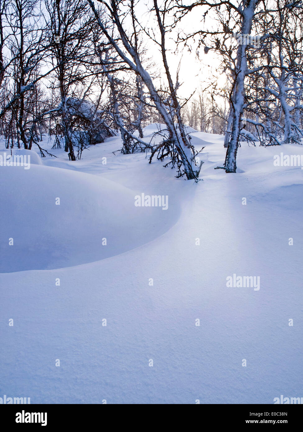 Deep snow in the mountains hi-res stock photography and images - Alamy