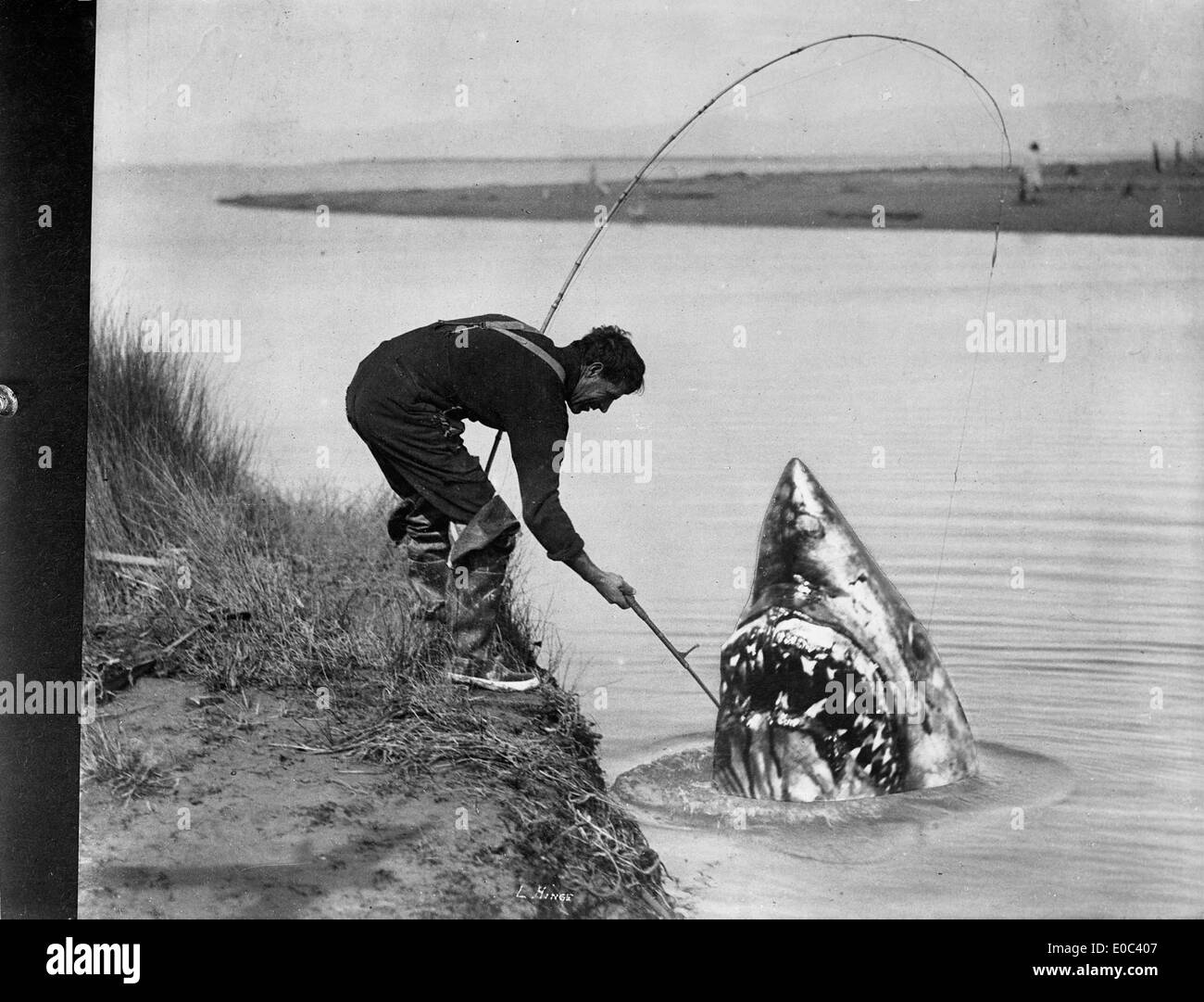 Man catching a shark hi-res stock photography and images - Alamy