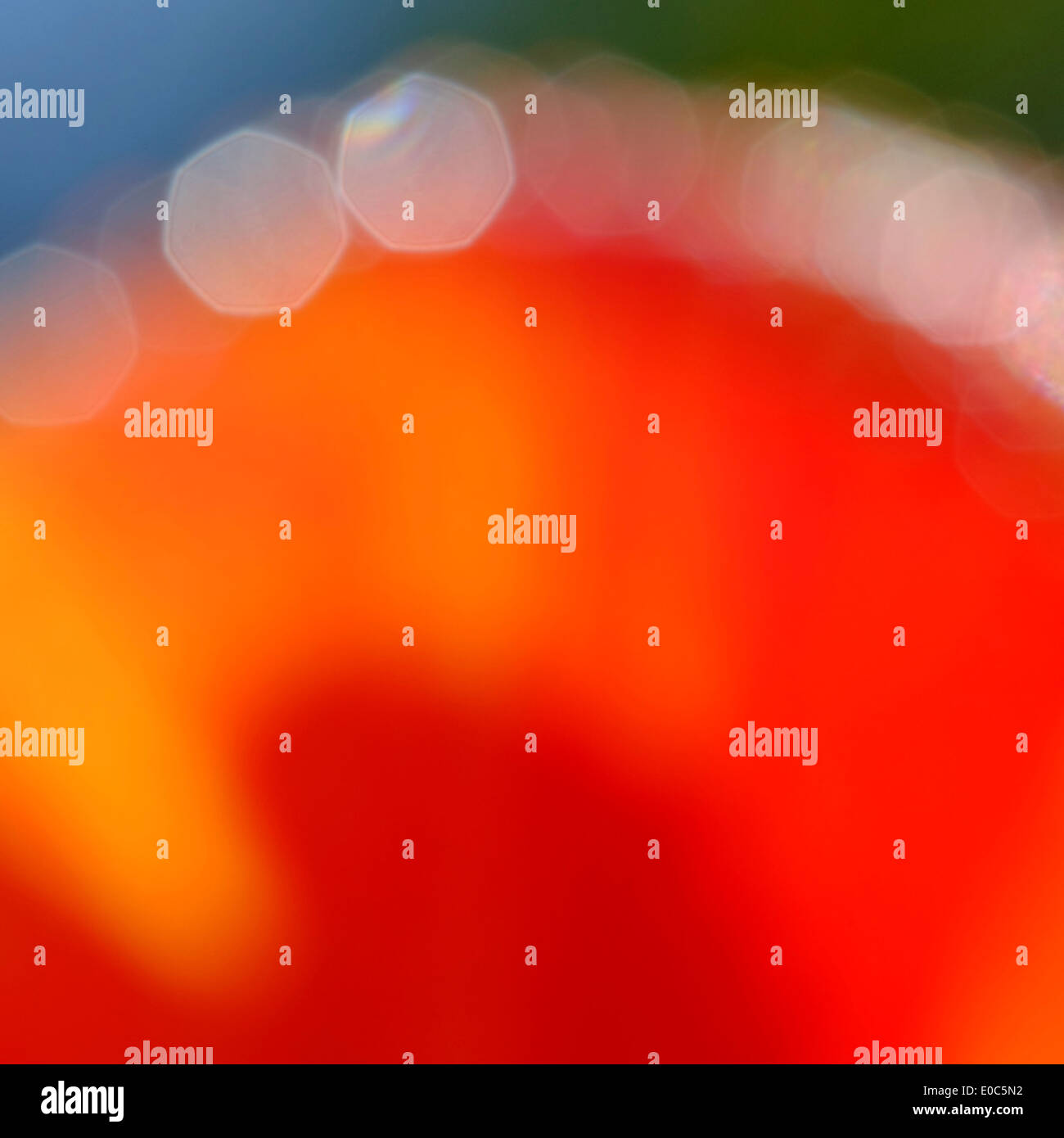 Abstract petal hi-res stock photography and images - Alamy