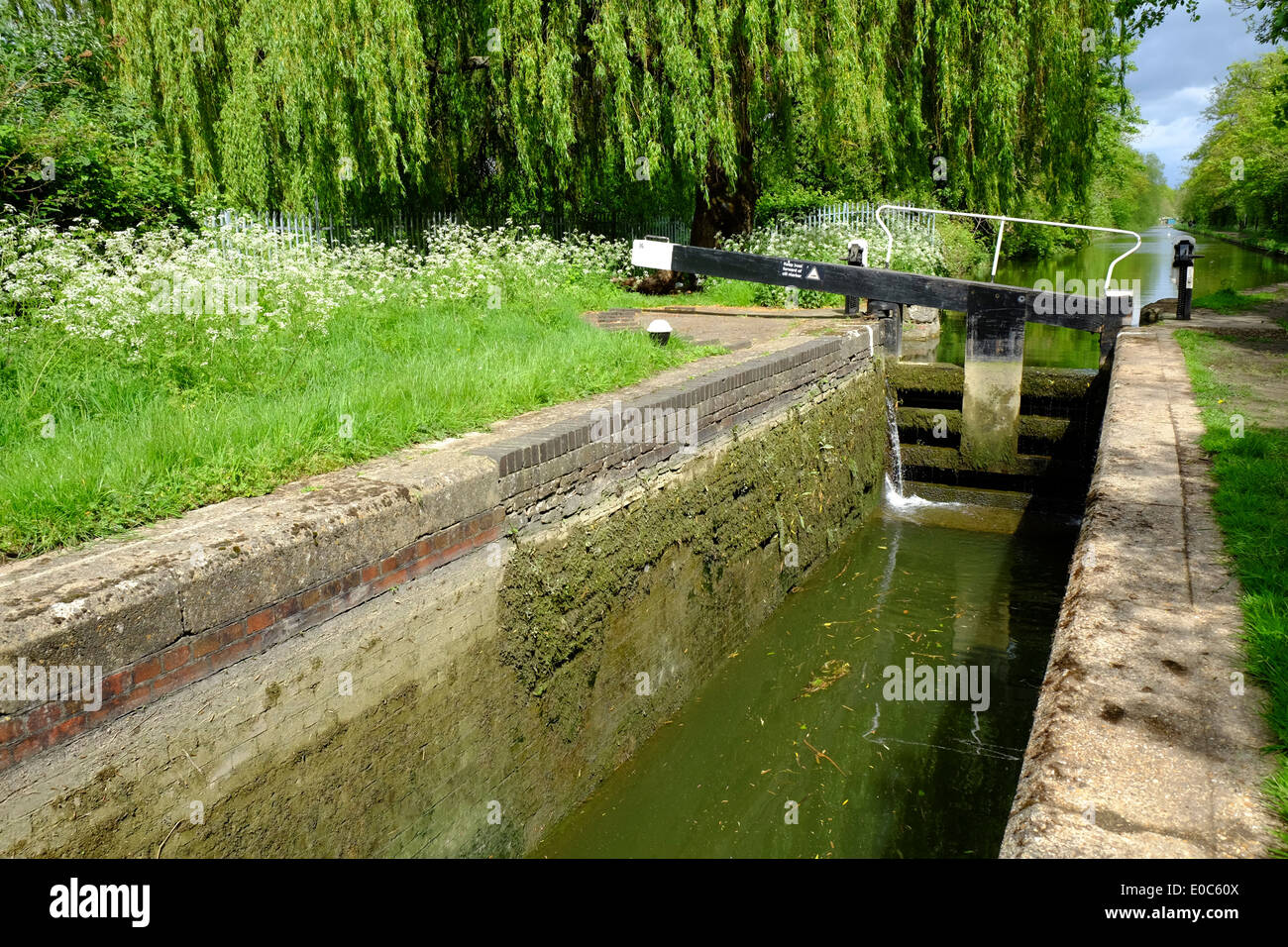 Canal lock gates on Grand Union Canal, Aylesbury Stock Photo - Alamy