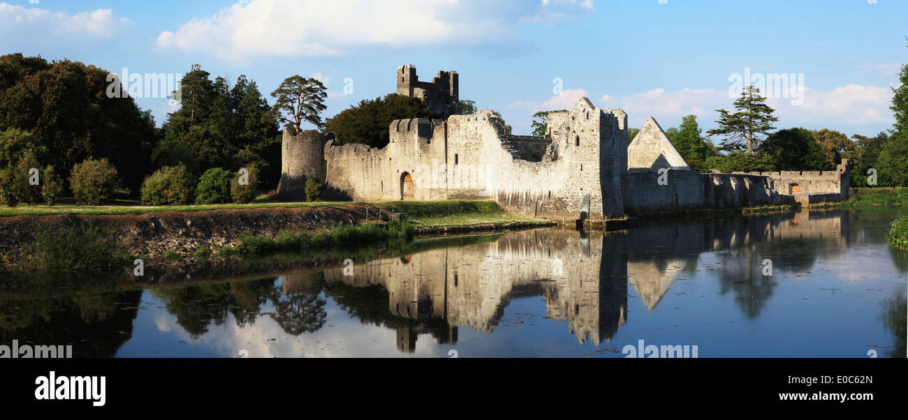 Desmond castle hi-res stock photography and images - Alamy
