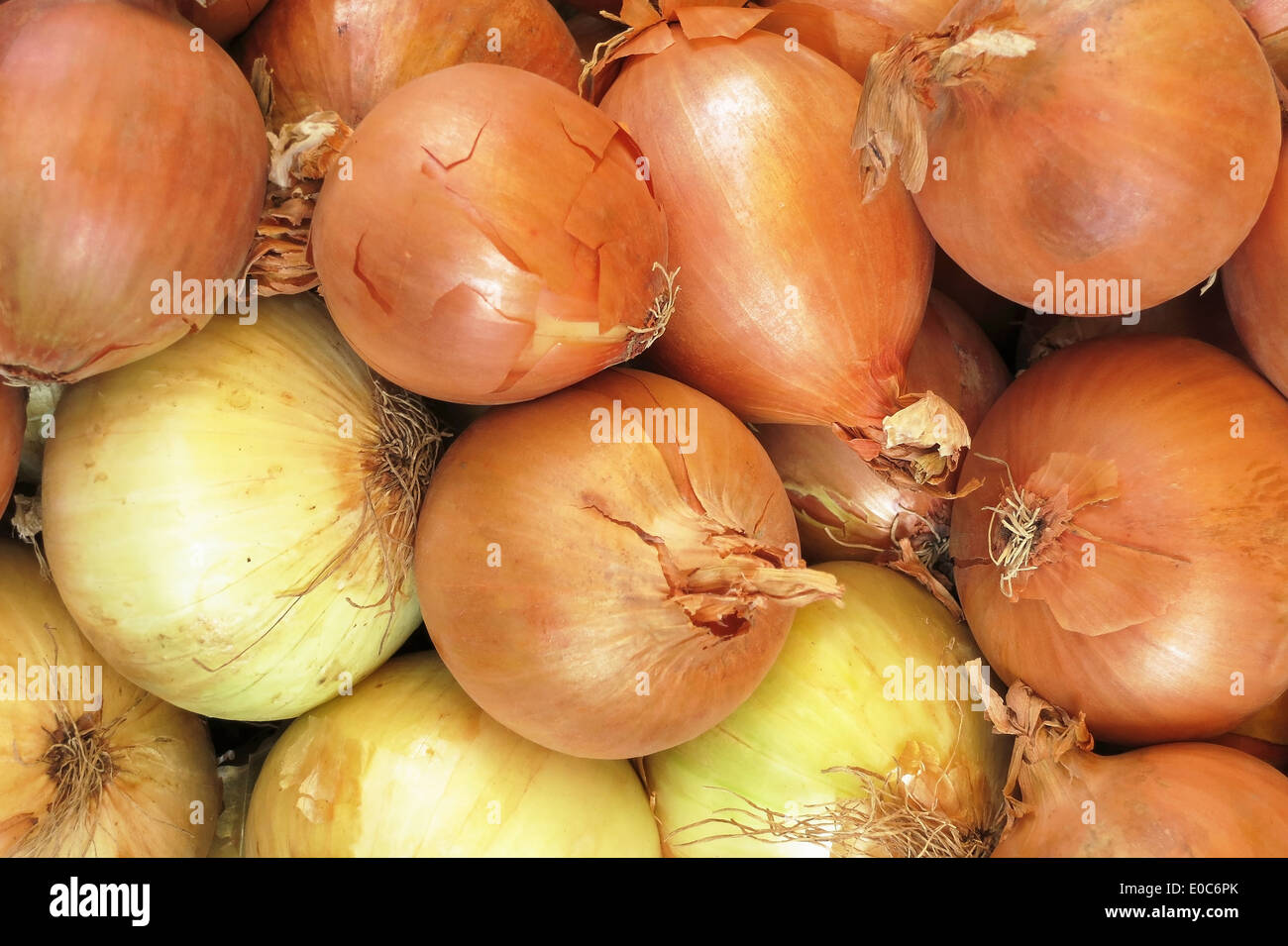 Biofarmer High Resolution Stock Photography and Images - Alamy