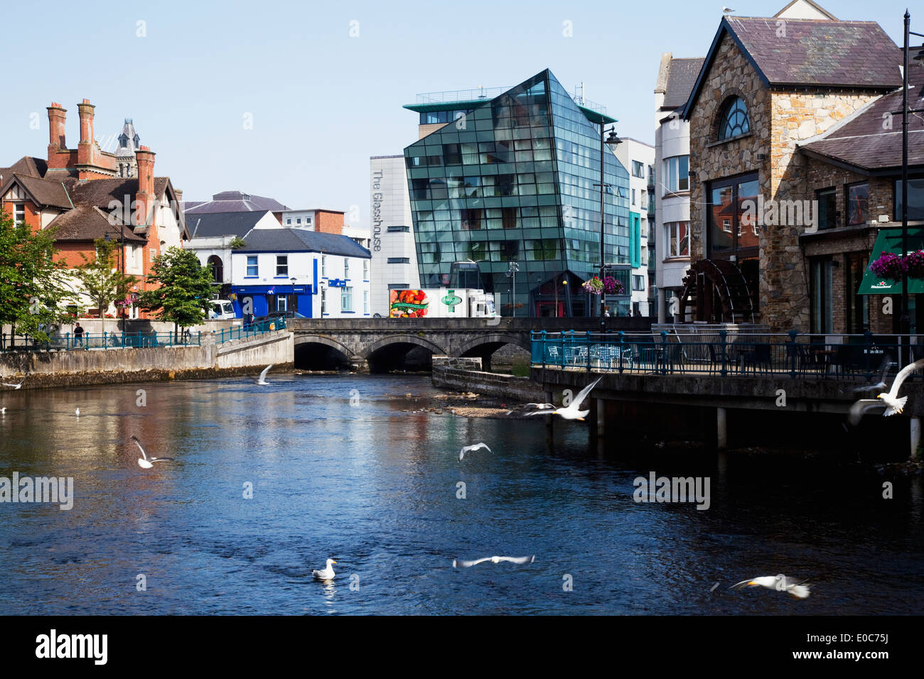 Birds at the waterfront of Sligo Town; Sligo, County Sligo, Ireland ...