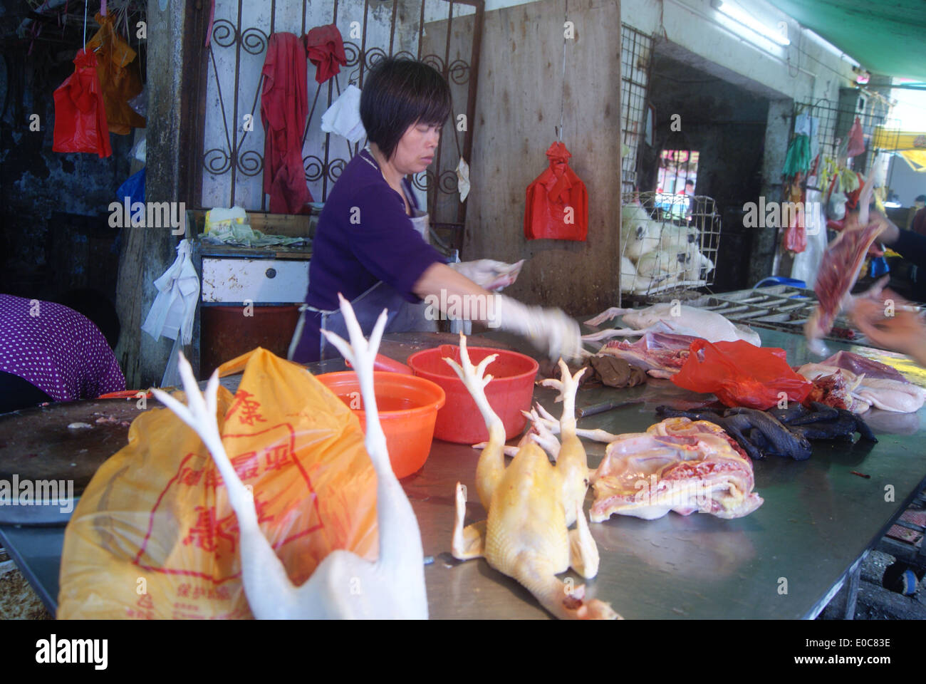 Farmers market chicken stalls, in Shenzhen, China Stock Photo - Alamy