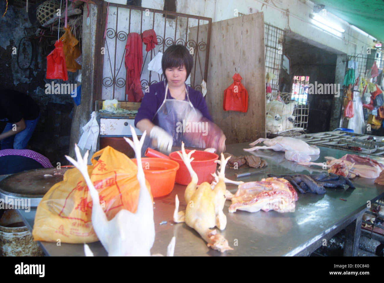 Farmers market chicken stalls, in Shenzhen, China Stock Photo - Alamy