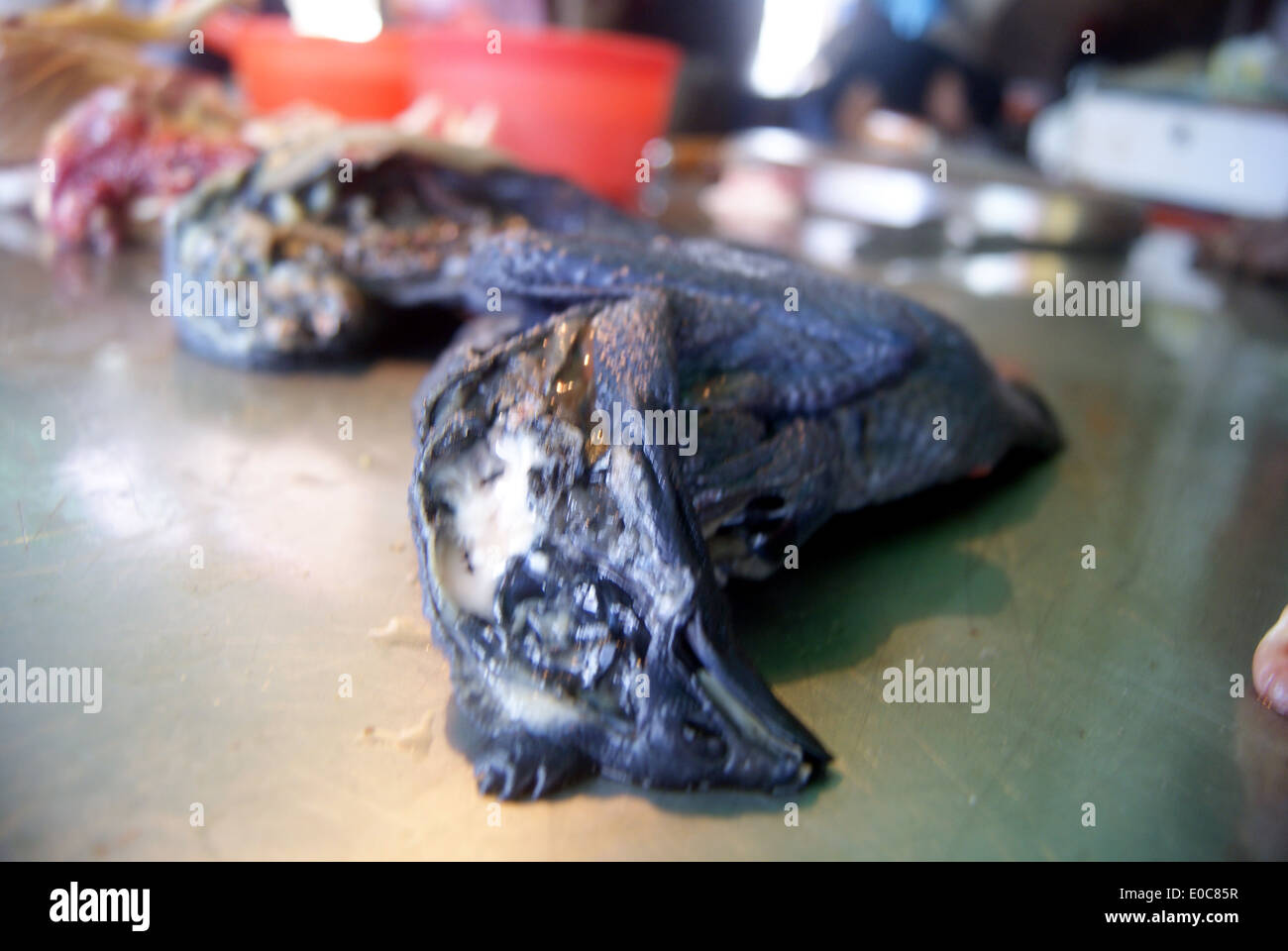 Farmers market chicken stalls, in Shenzhen, China Stock Photo - Alamy