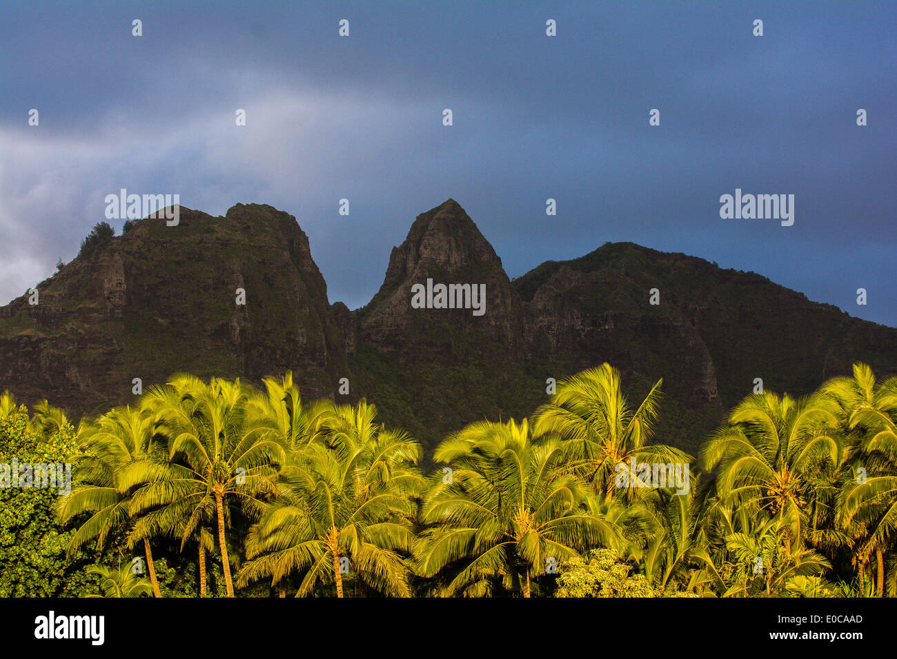 Kalalea Mountains, Kauai, Hawaii, USA Stock Photo - Alamy