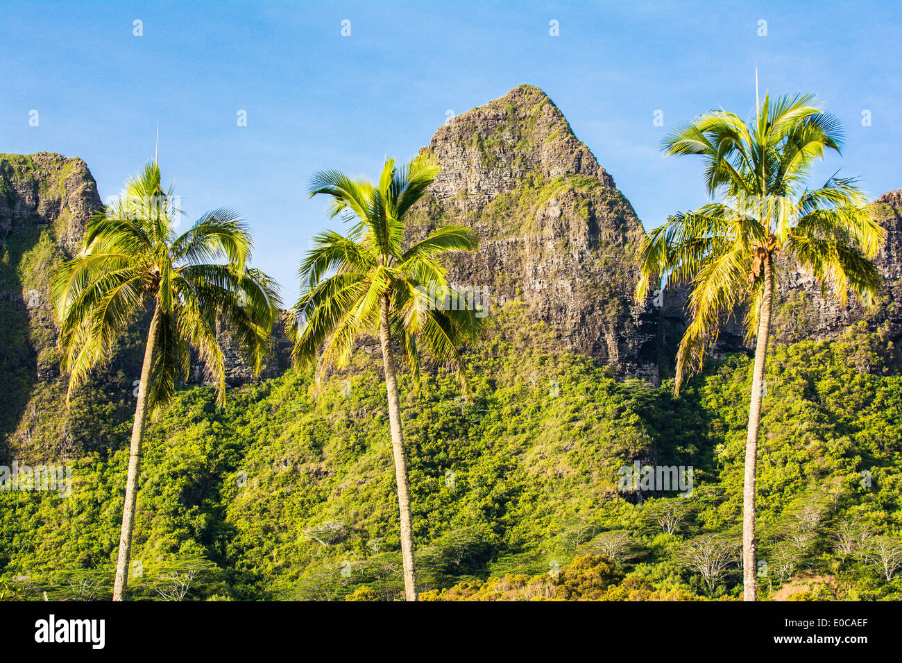 Kalalea Mountains, Kauai, Hawaii, USA Stock Photo - Alamy