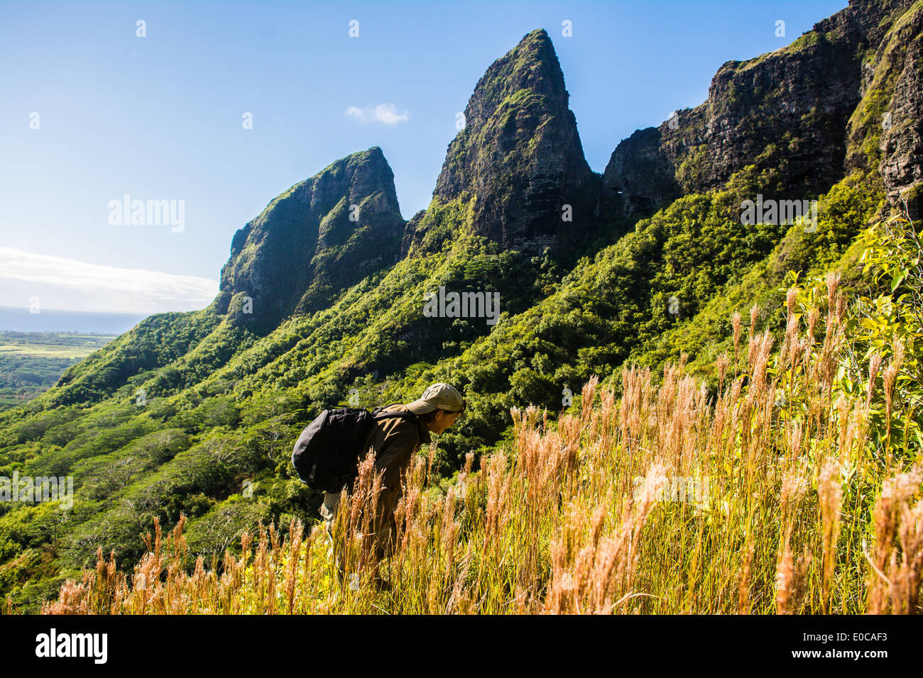 Hiking in the Kalalea Mountains, Kauai, Hawaii, USA Stock Photo - Alamy