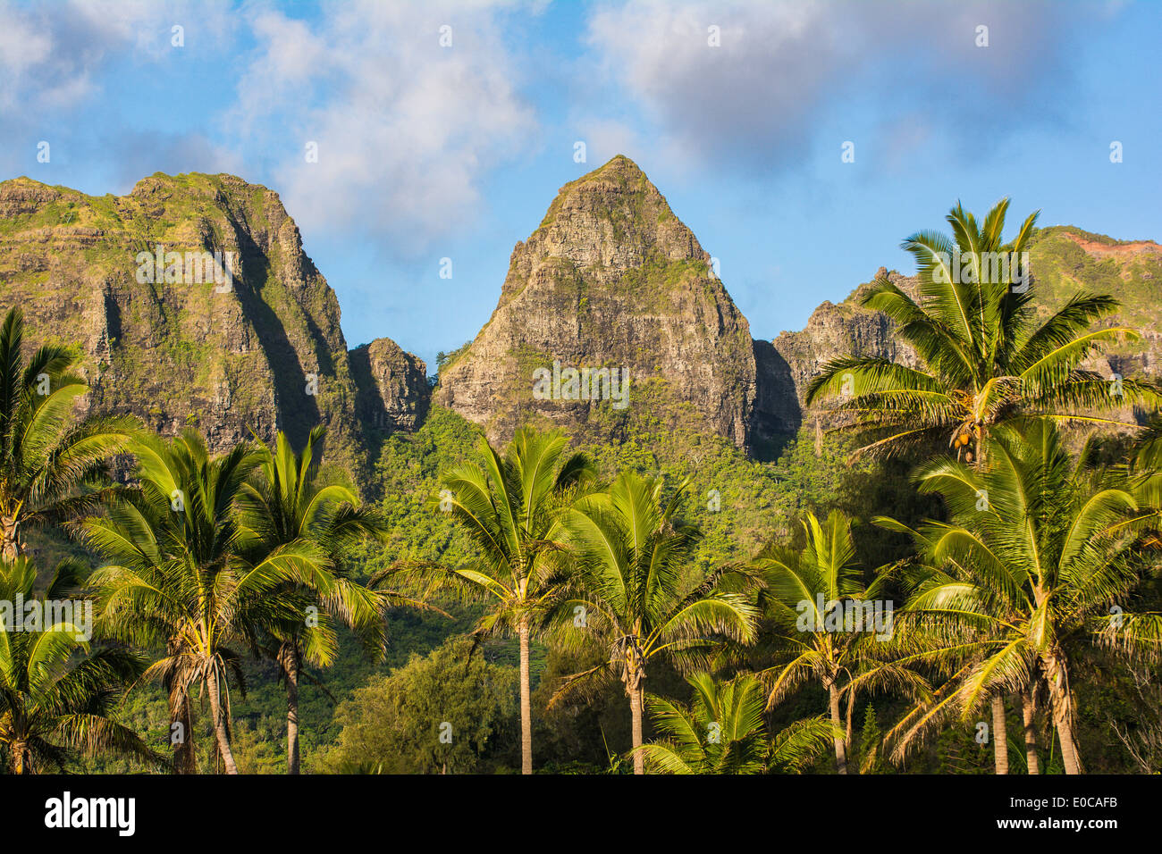 Kalalea Mountains, Kauai, Hawaii, USA Stock Photo - Alamy