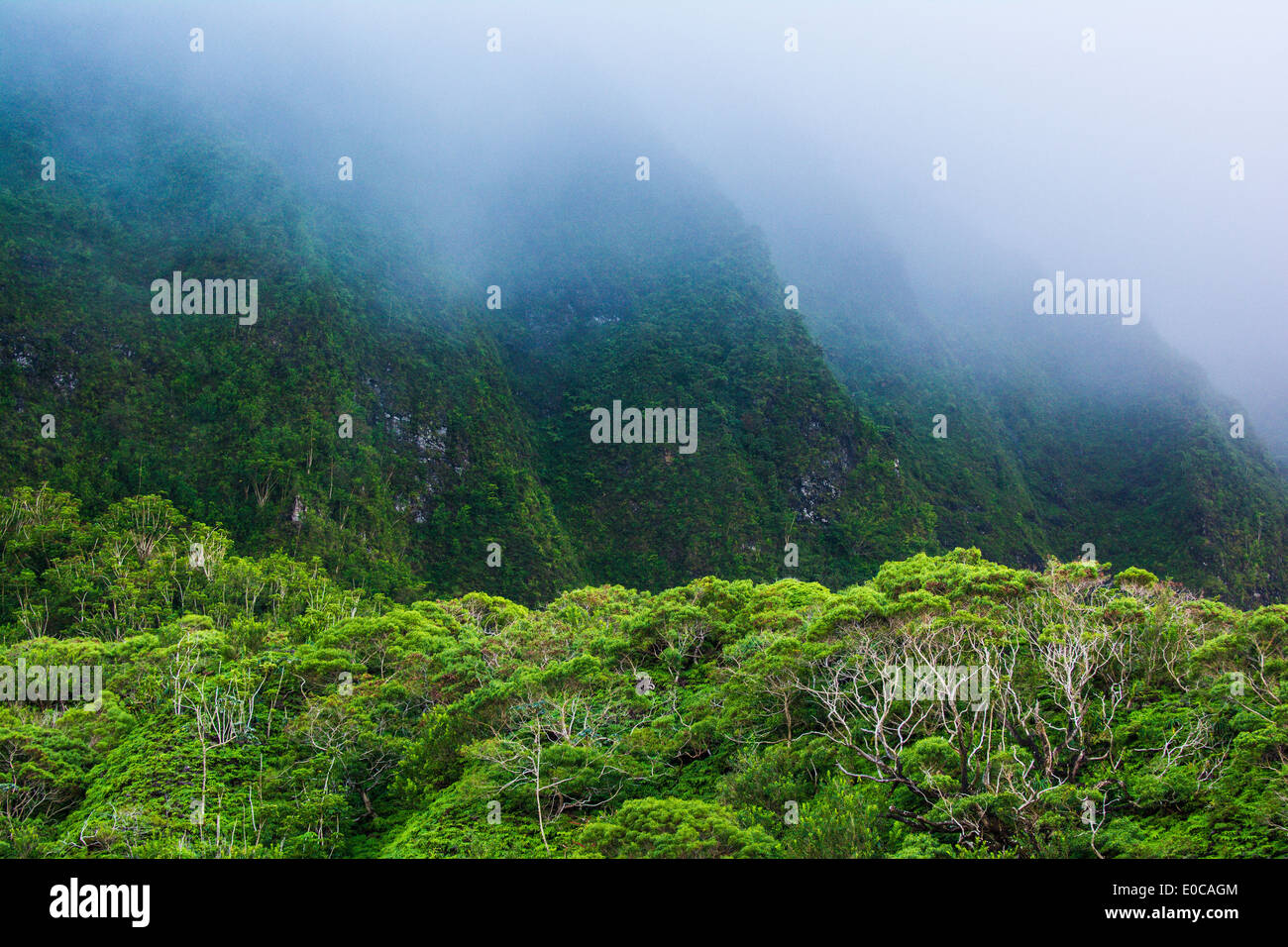 Koolau cliffs hi-res stock photography and images - Alamy