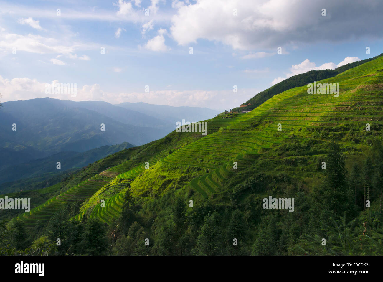 Terraces hi-res stock photography and images - Alamy