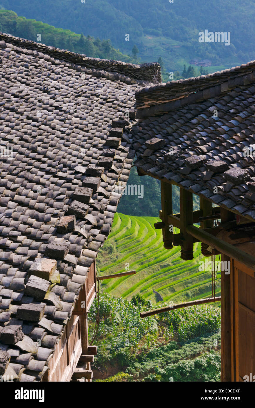 Village house and rice terraces in the mountain, Longsheng, Guangxi ...