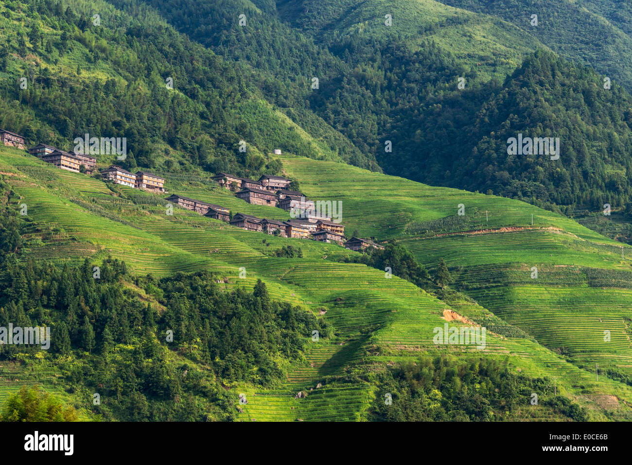 Village house and rice terraces in the mountain, Longsheng, Guangxi ...