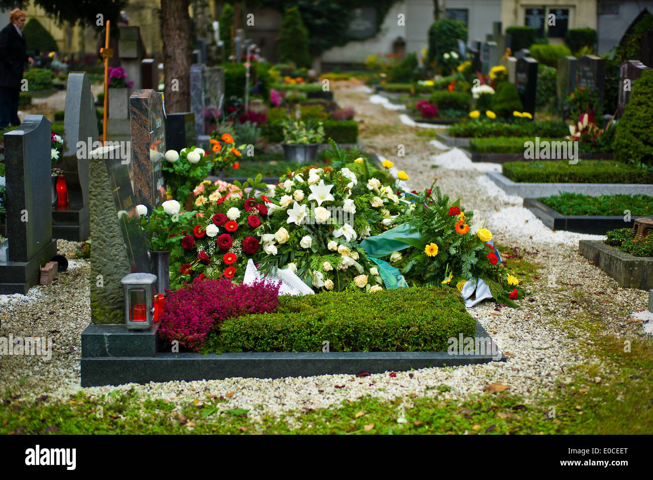 A gravestone on a cemetery. With ivy overgrows, Ein Grabstein auf einem ...