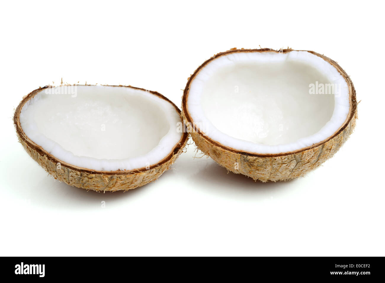 Cross Section Whole Coconut