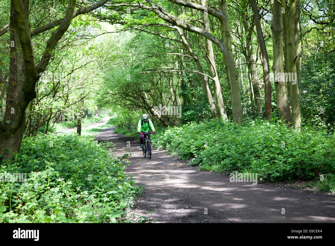 Wimbledon Common Path Cyclist in London - UK Stock Photo - Alamy