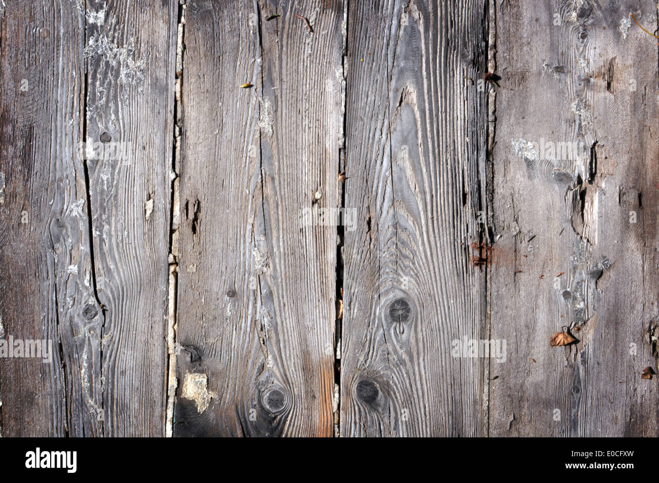 Western Backgrounds Wood