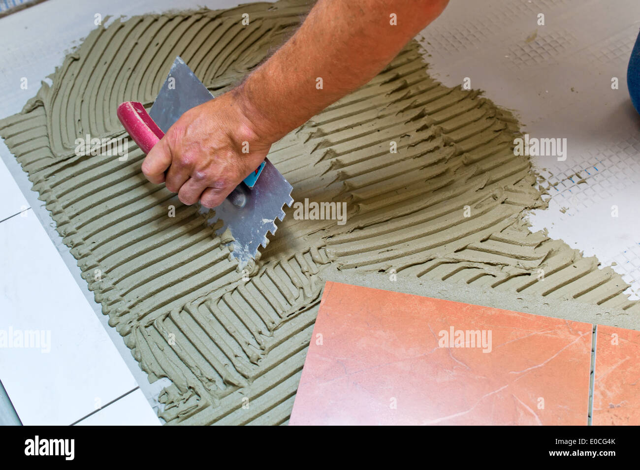 A tiler at the work. Adhesion of flagstones with tile glue and spatula ...