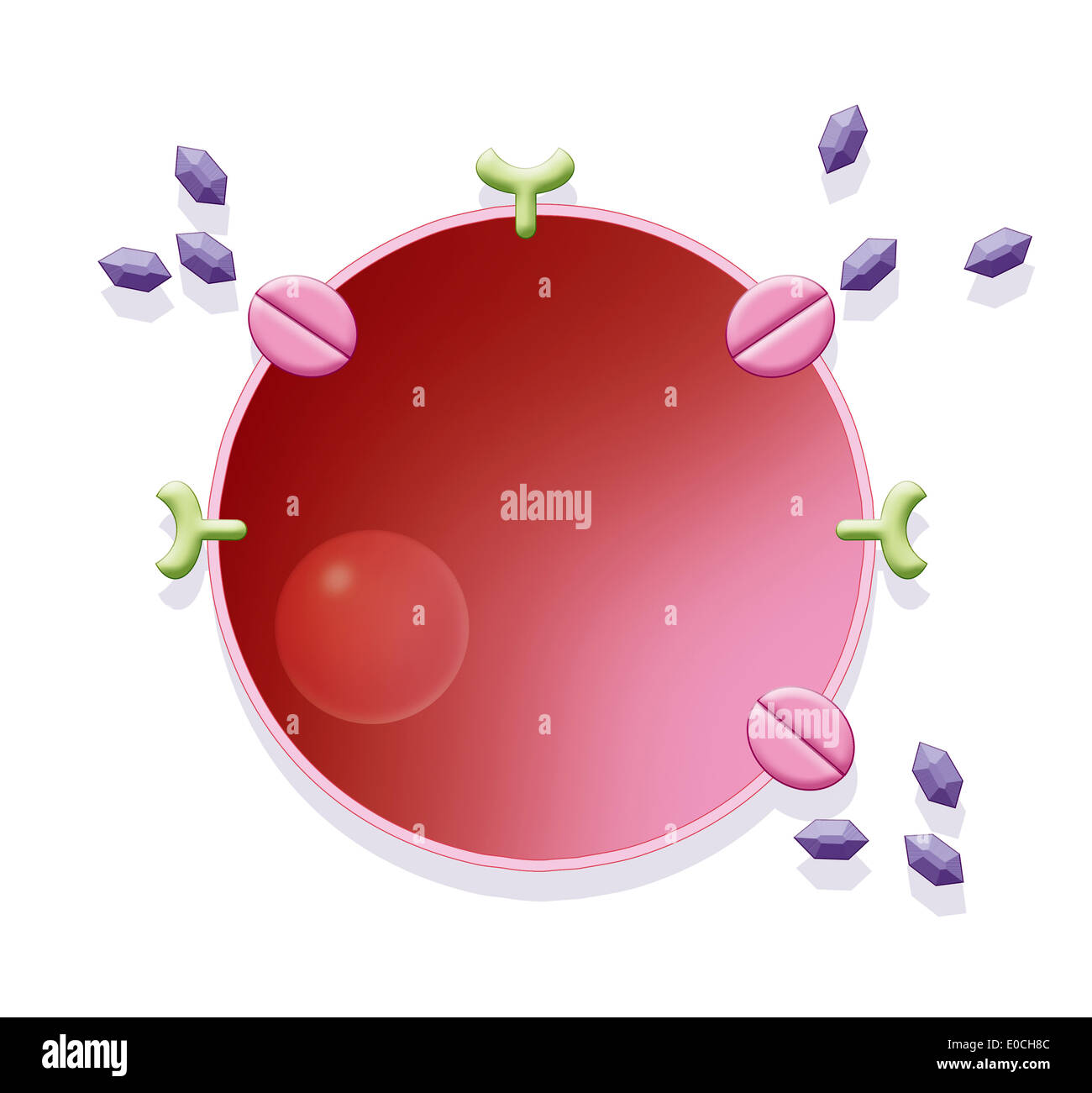 Type drawing Cut Out Stock Images & Pictures - Alamy