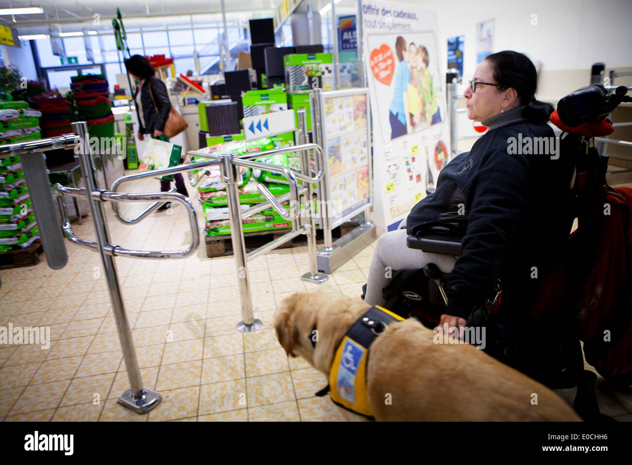 Disabled persons dog hi-res stock photography and images - Alamy