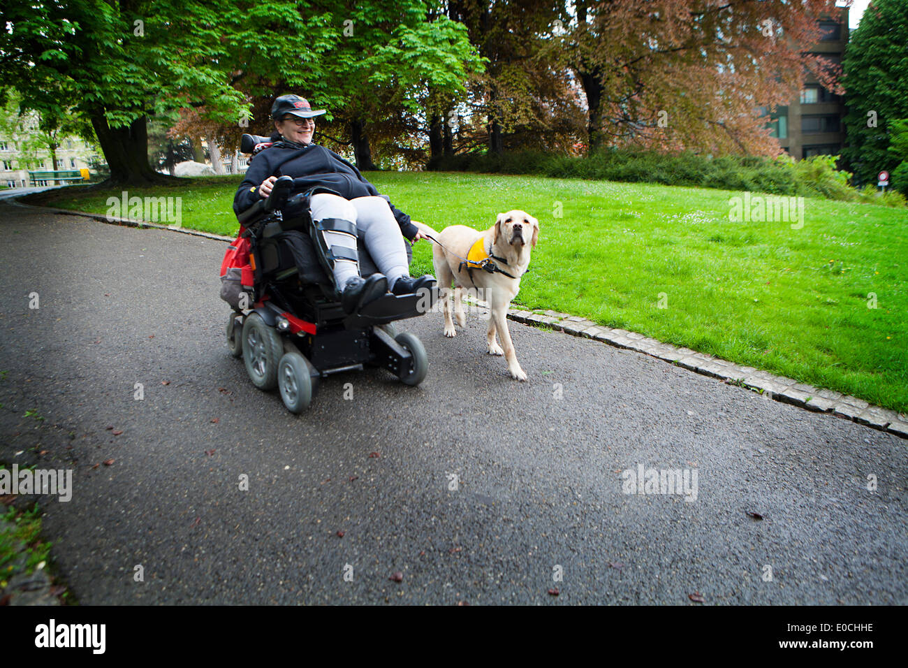 Disabled animals hi-res stock photography and images - Alamy
