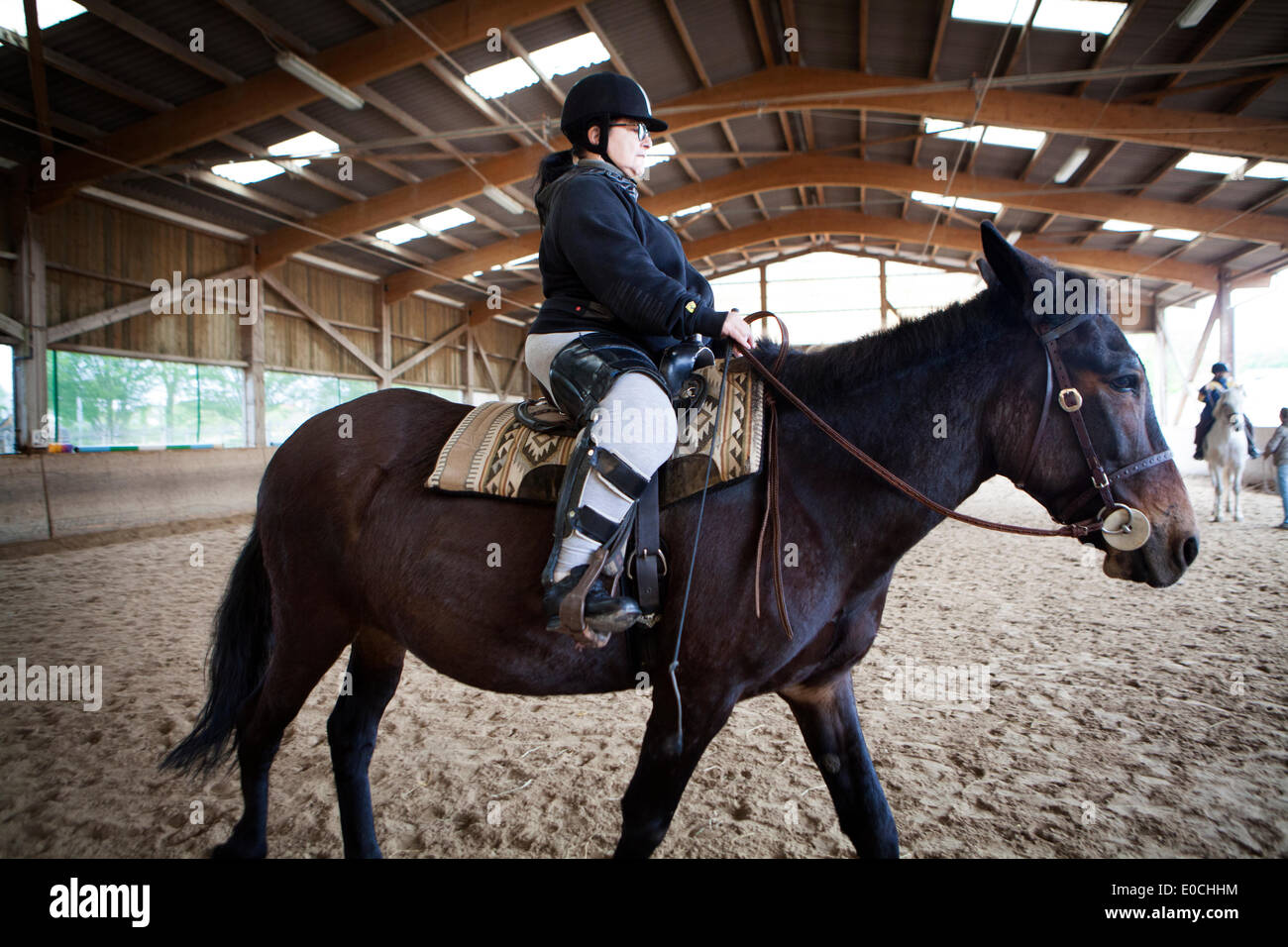 Riding for the disabled horse hi-res stock photography and images - Alamy