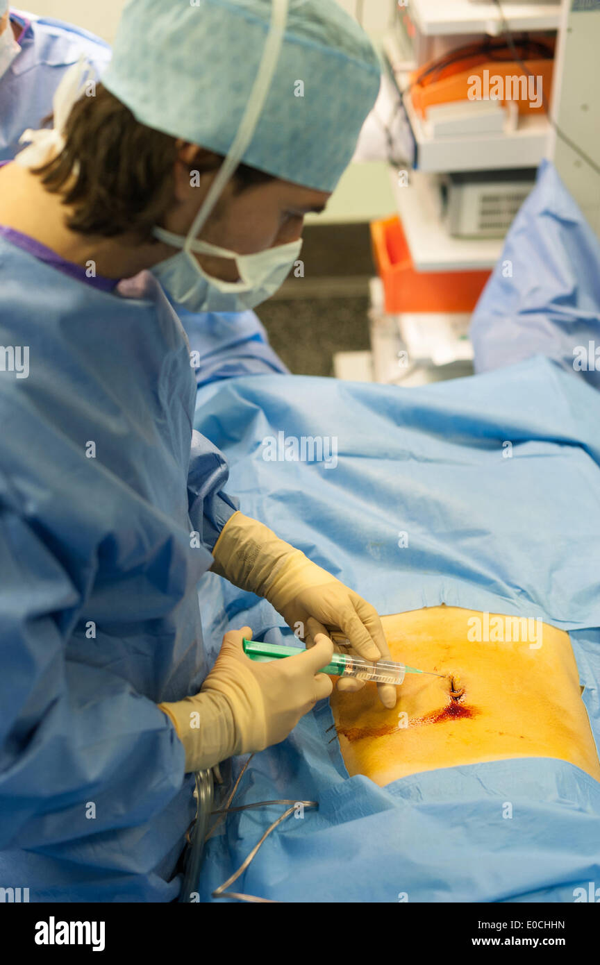 Gynecological examinations hi-res stock photography and images - Alamy