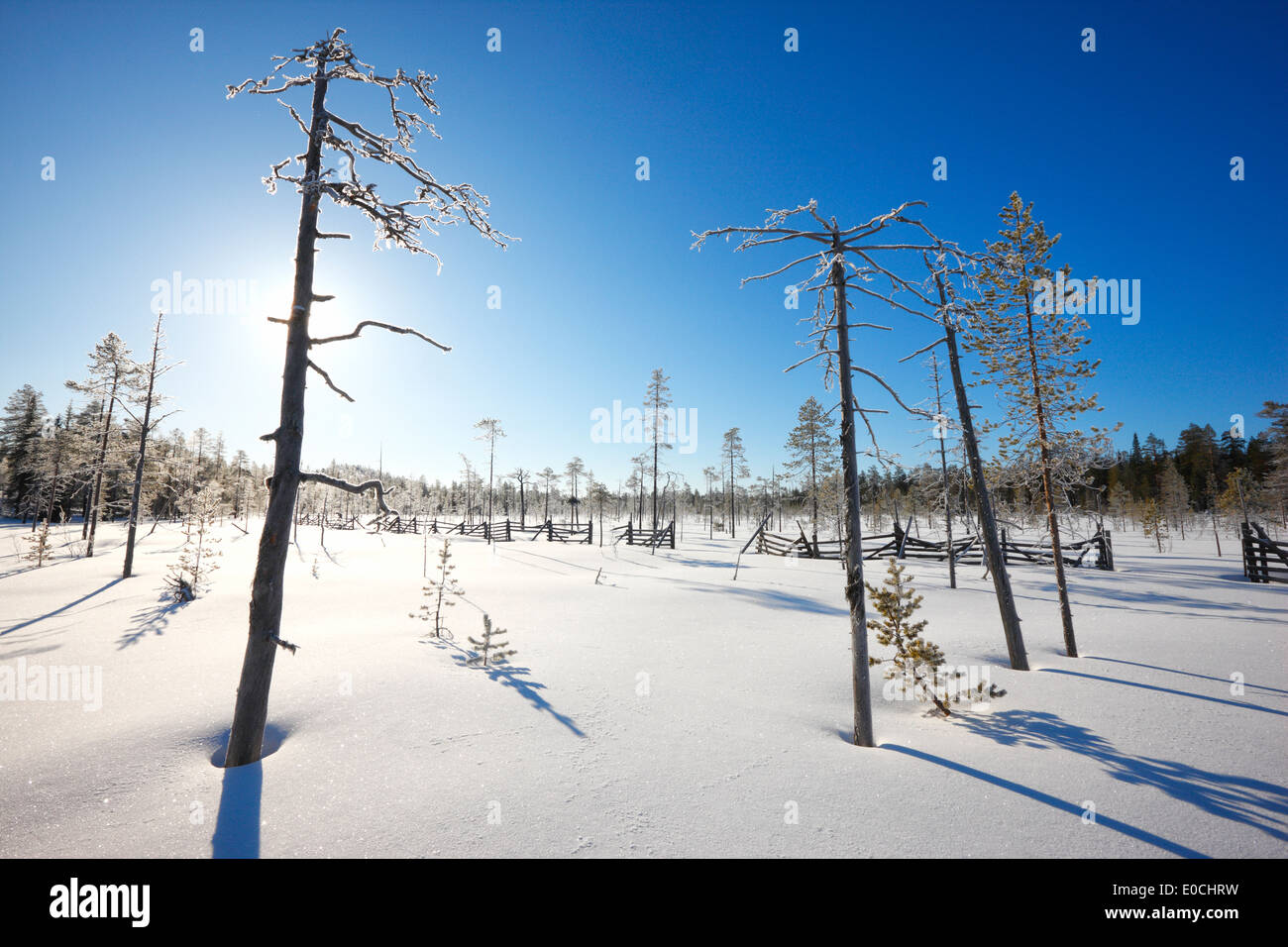 Finland lapland winter snow hi-res stock photography and images - Alamy