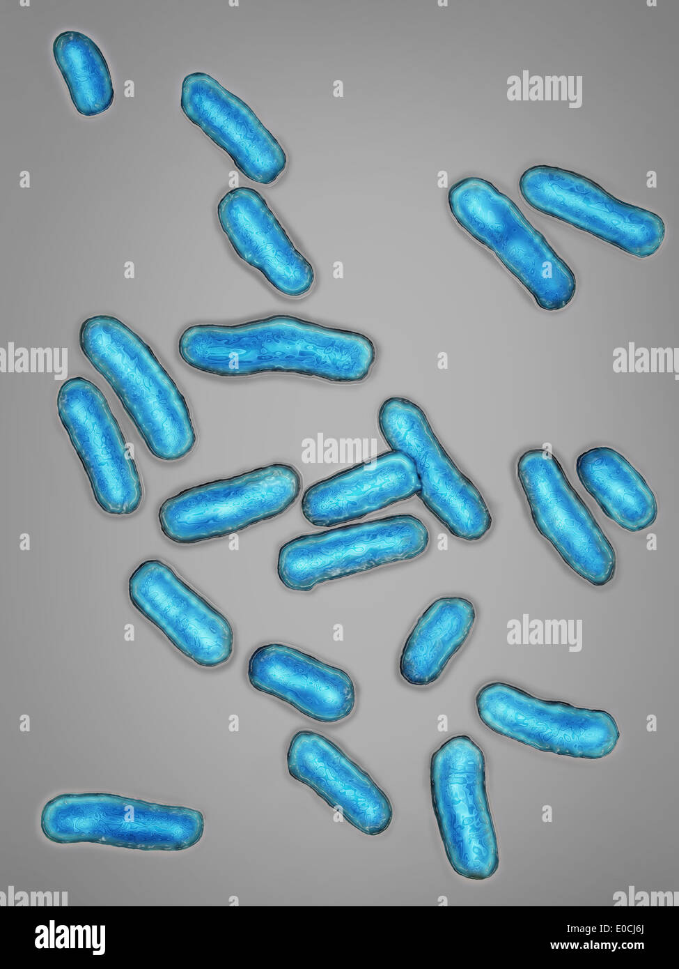 Salmonella infections test hi-res stock photography and images - Alamy