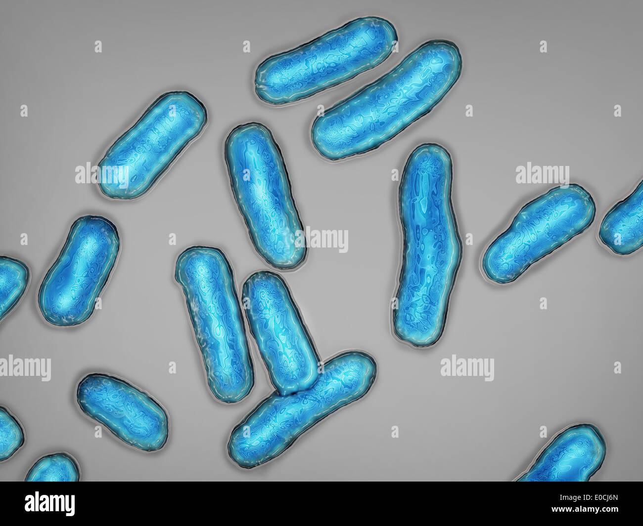 Salmonella hi-res stock photography and images - Alamy
