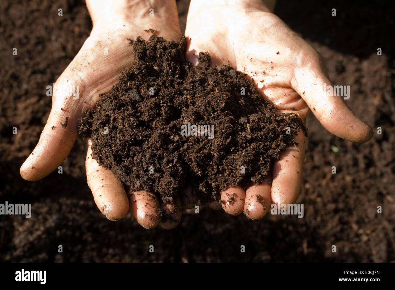 Loam soil hi-res stock photography and images - Alamy