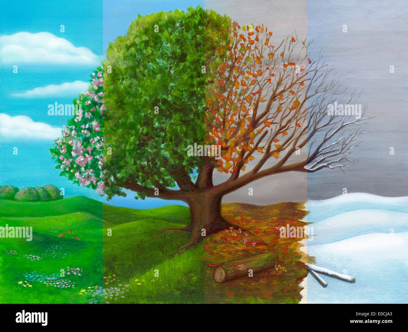 Four seasons drawings hi-res stock photography and images - Alamy