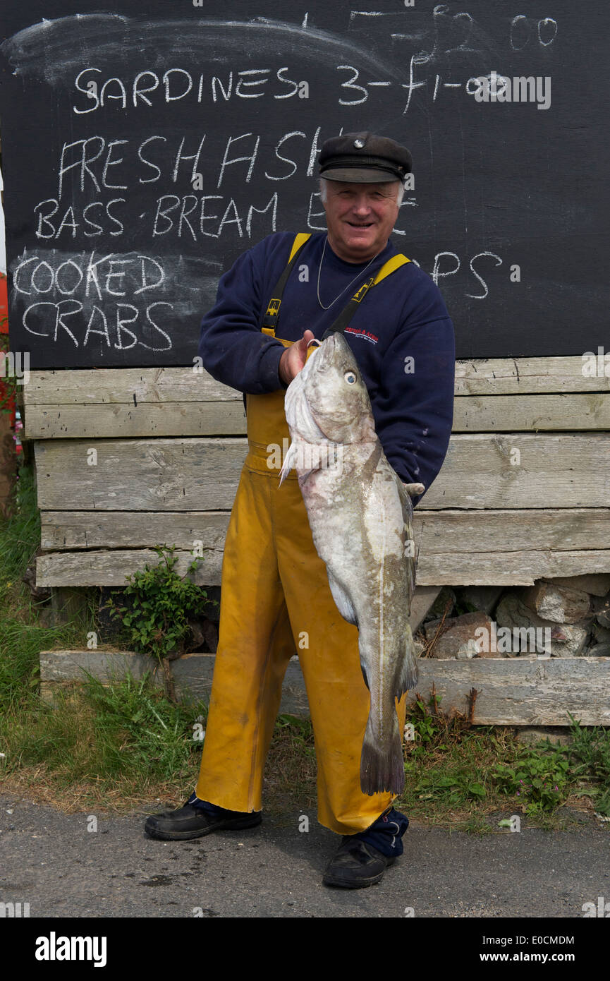 Cornwall, Fisherman, Fish Trader, Cod, Fish for Sale, Cornish Fisherman ...