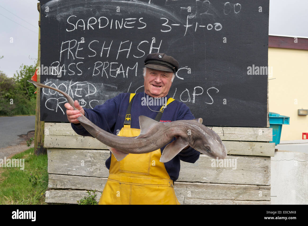 Cornwall, Fisherman, Fish Trader, Shark, Cod, Fish for Sale, Cornish ...